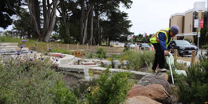 Rain Guardians Community Event at Sunset Boulevard Greenway